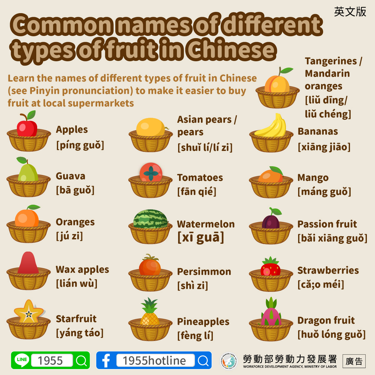 Common names of different types of fruit in Chinese - FWA外籍勞工通訊社